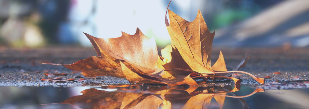 Insights & News | Clinical Partners